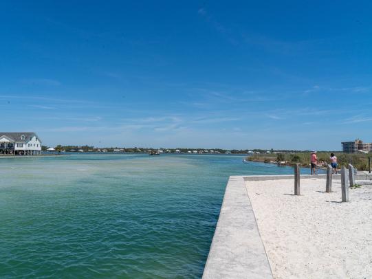 Alabama Coastal Birding Trail in Gulf Shores & Orange Beach