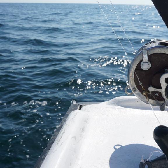 Rod Guides in Gulf Shores & Orange Beach