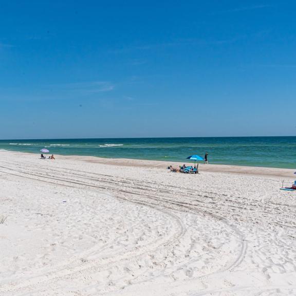 Ultimate Guide to Spring Break in Gulf Shores & Orange Beach