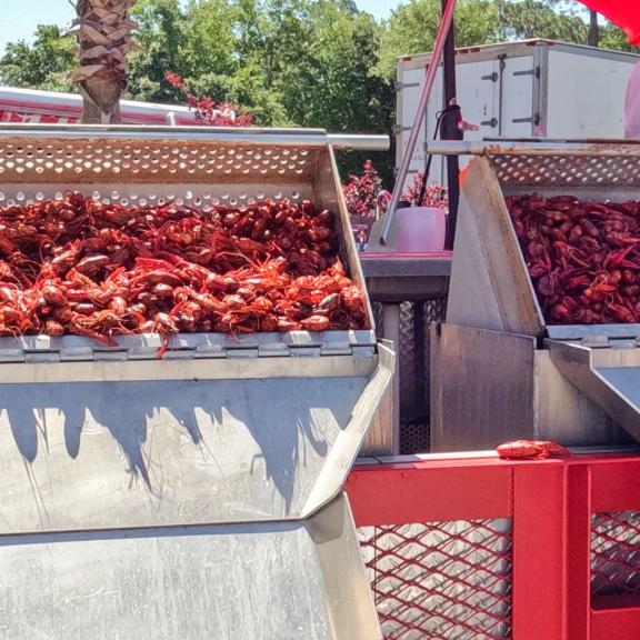 Where to Find Crawfish in Gulf Shores & Orange Beach