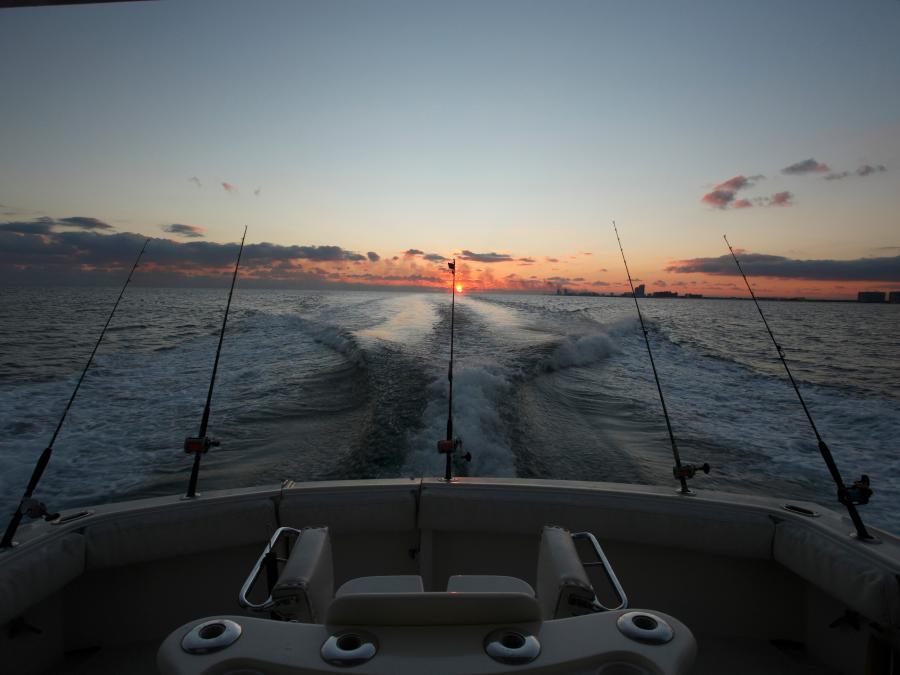 Alabama Fishing Seasons in Gulf Shores & Orange Beach