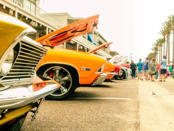 Shelling on Alabama's beaches