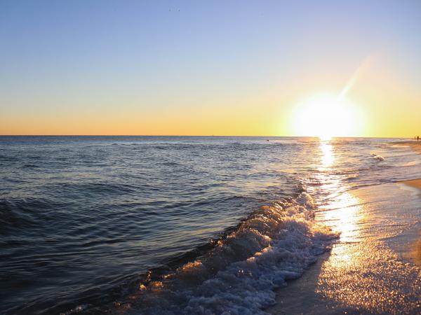 Perfect Game World Series 2024 | Gulf Shores & Orange Beach