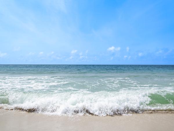 Experience Alabama's Gulf Coast in Gulf Shores, Orange Beach, & Fort ...
