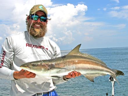 Cobia Fishing on Alabama's Beaches | Gulf Shores & Orange Beach