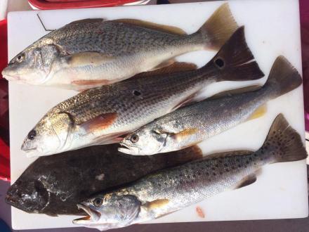 Fishing the Little Lagoon in Gulf Shores & Orange Beach