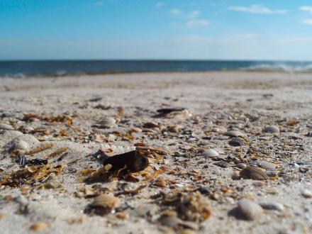 Visit Our 15 Public Beaches in Orange Beach & Gulf Shores