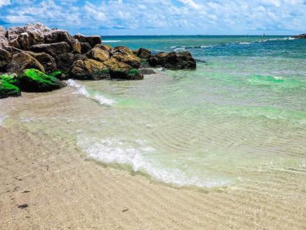 Coastal AL Snorkel & Dive Spots in Gulf Shores & Orange Beach