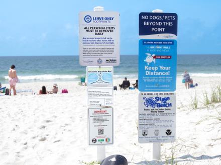 Protect the Beaches We Love | Gulf Shores & Orange Beach