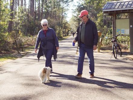 Fun Activities for Snowbirds on Alabama’s Beaches