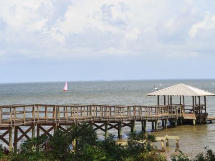 The Natural Phenomenon of Jubilees in Alabama