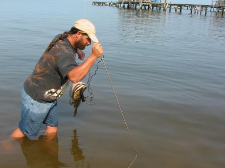 The Natural Phenomenon of Jubilees in Alabama