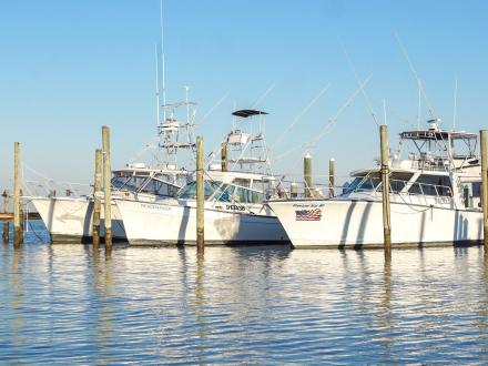 Rig Fishing in Gulf Shores & Orange Beach