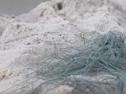 Protect the Beaches We Love | Gulf Shores & Orange Beach