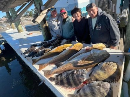 sheepshead fish limit